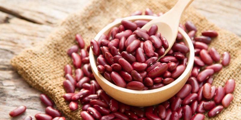 Astuces santé: Tout savoir sur le haricot rouge (Partie 1) ⦁ Vnews.ci